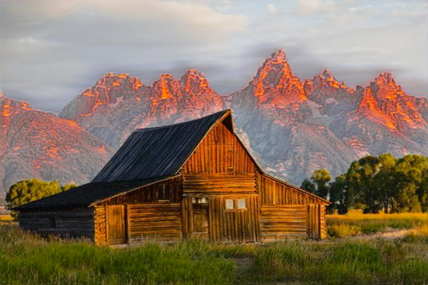 Style-Editor: Text-driven Object-centric Style Editing